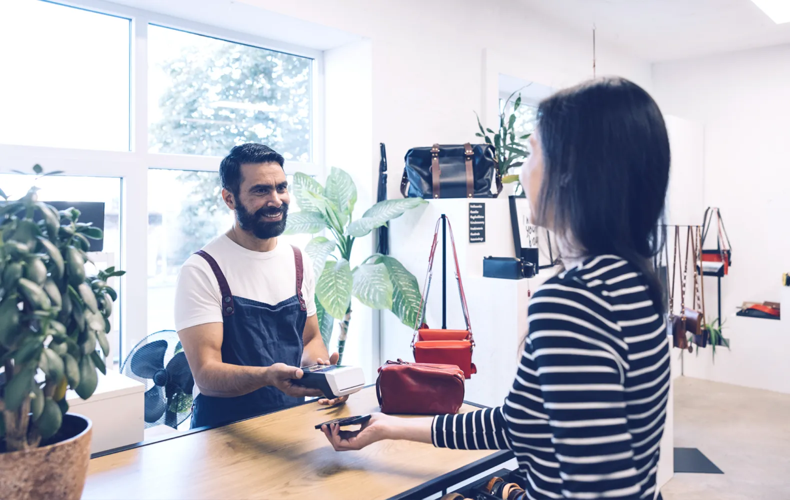 Ingenico | Payment Methods